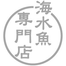 海水魚専門店 ceppo セポ